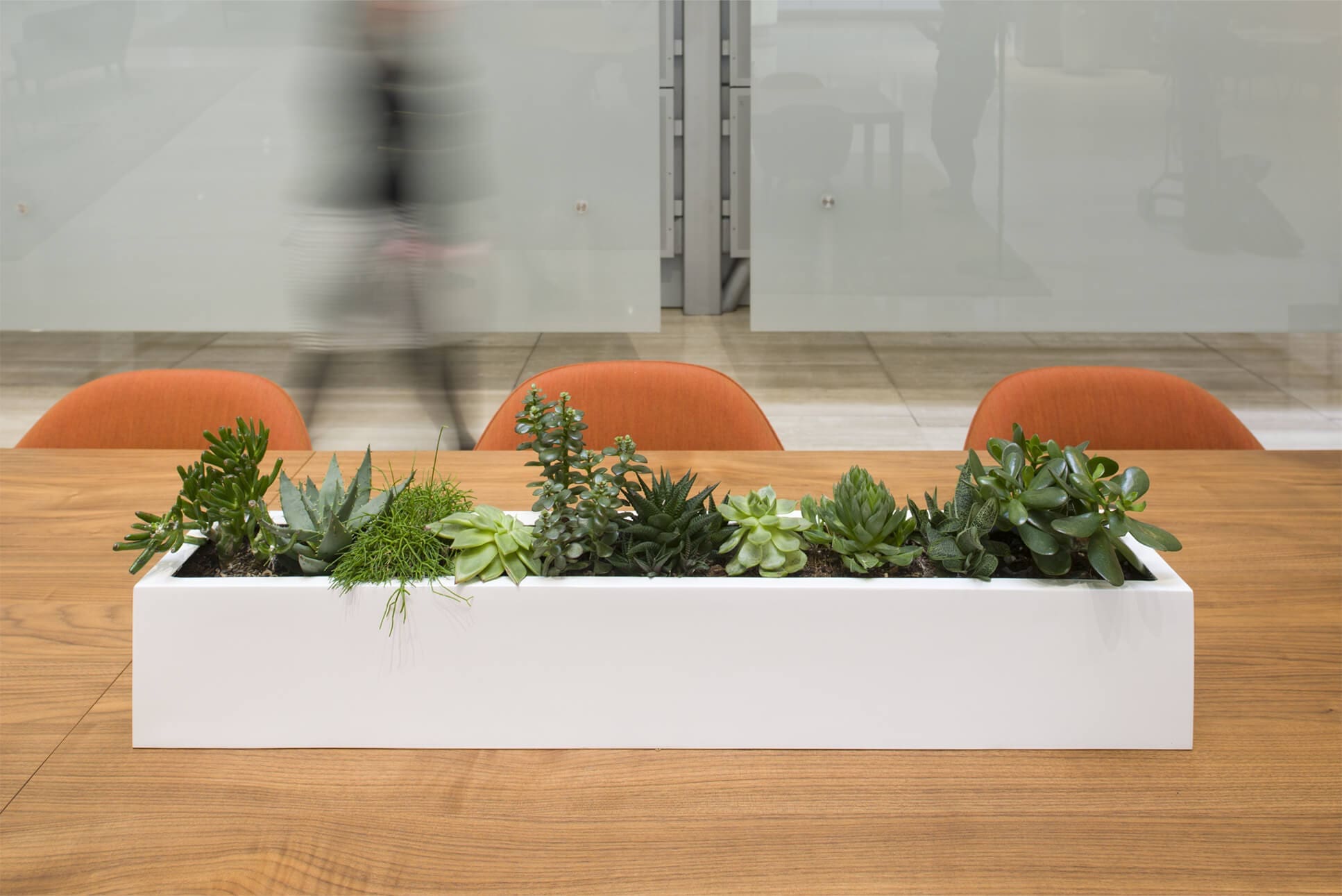 Property Management Sector | Biophilic Solutions | Planteria