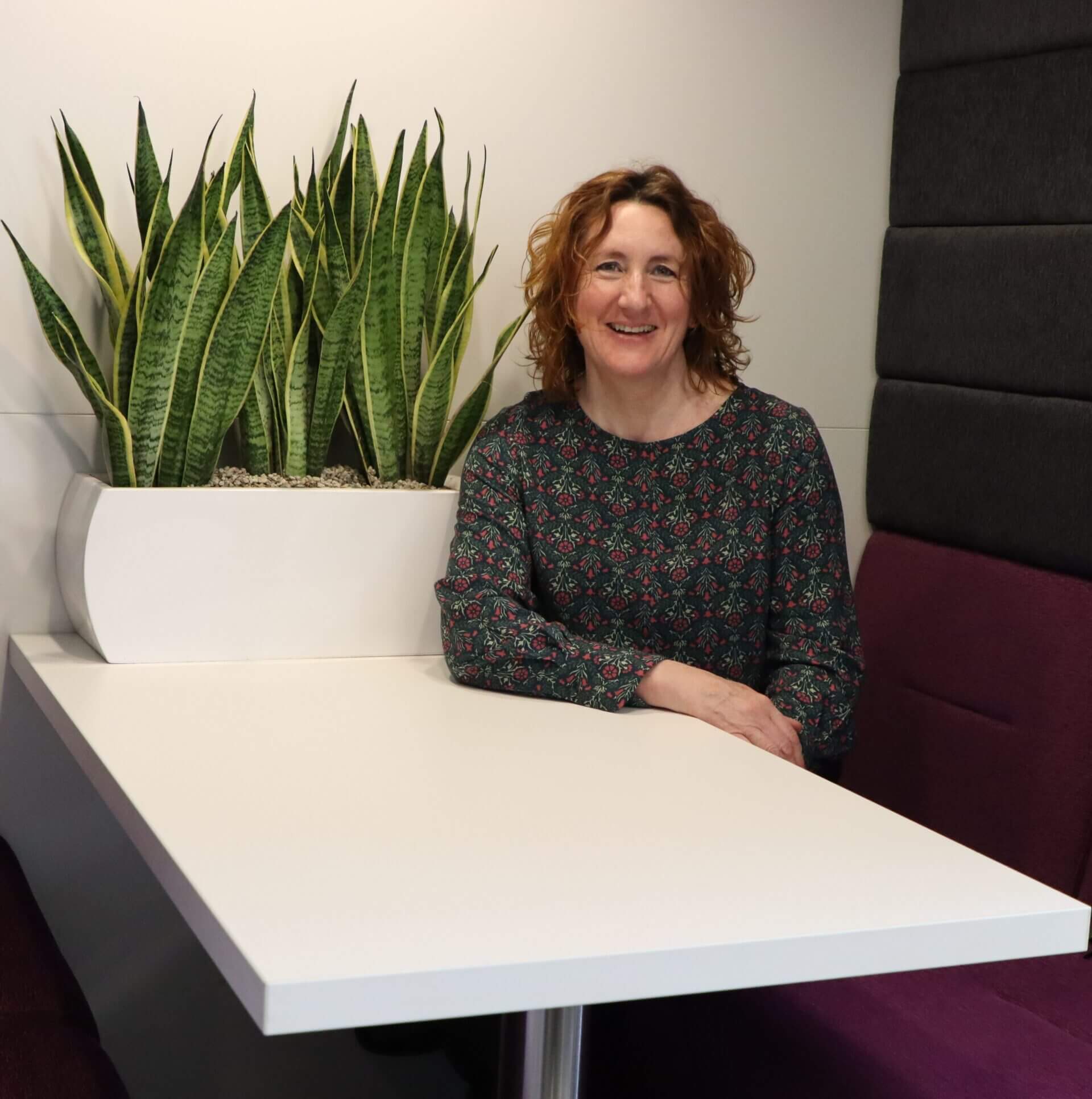 Paula Crow | Planteria